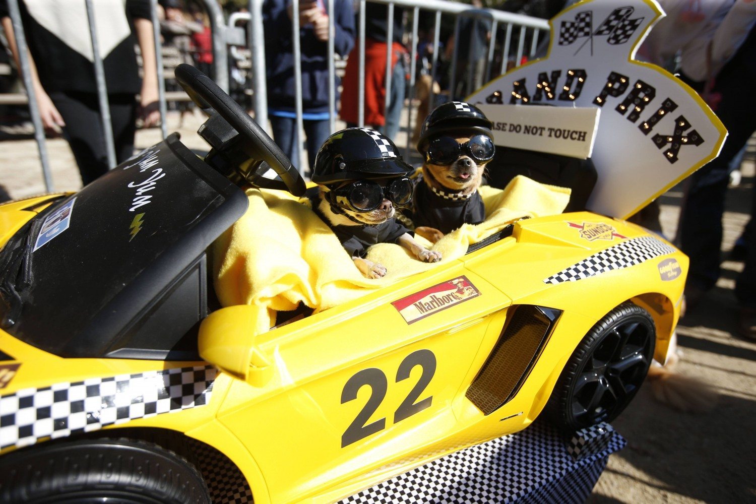 Tompkins Square Halloween Dog Parade Returns – Downtown Magazine