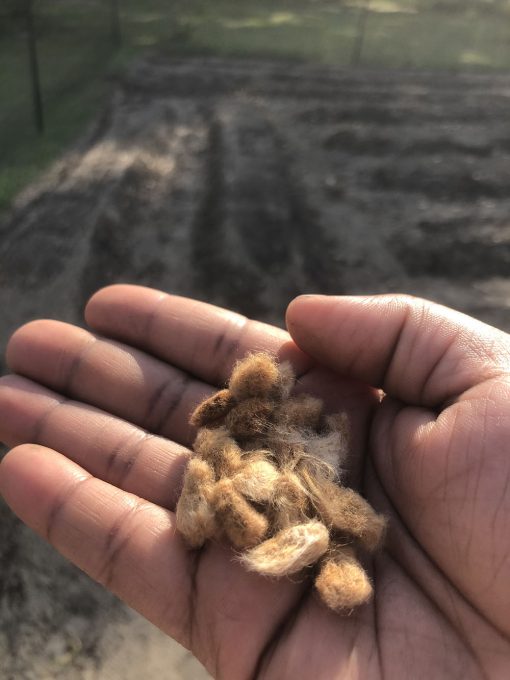 GrowNYC Celebrates Black Farmers, Agriculturalists, Chefs, and ...