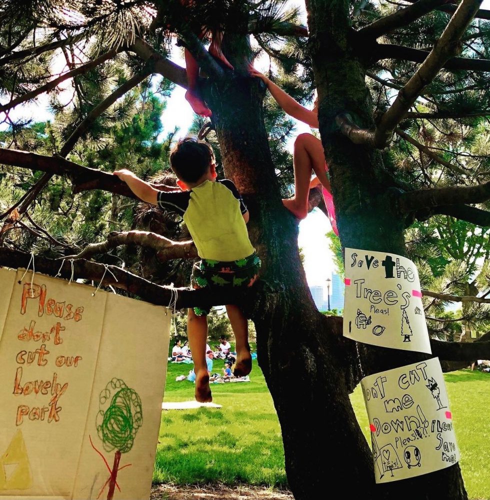 The Power of Community: Battery Park Rallies for Their Parks - Downtown ...